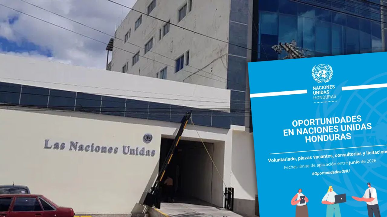 ONU anuncia nuevas vacantes y oportunidades en junio para hondureños ...